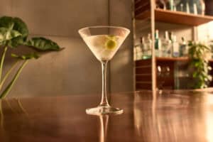Classic Dry Martini Recipe | A Timeless Serve With Muckross Irish Gin